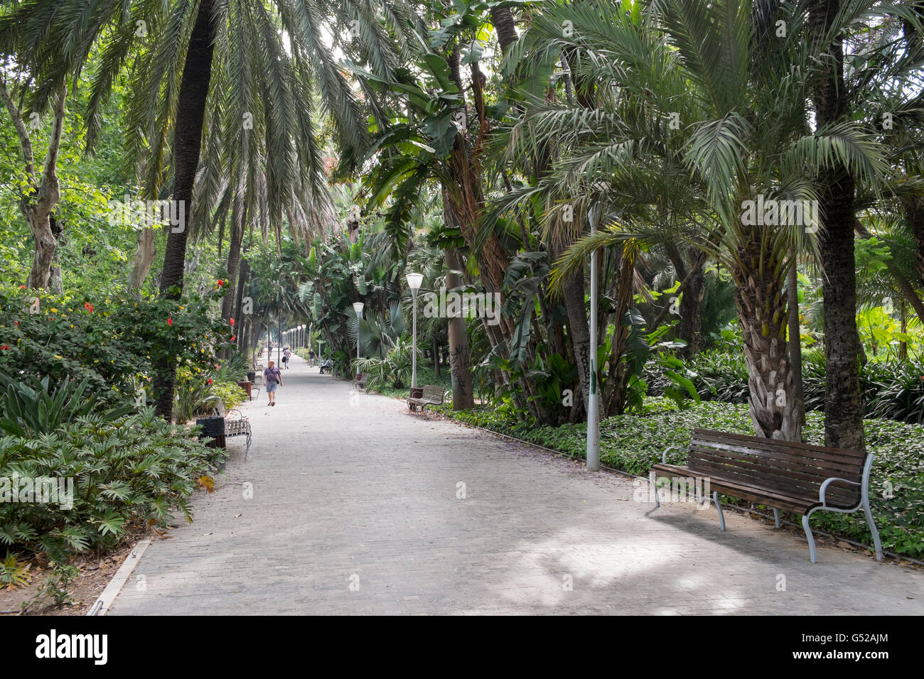 Parque de malaga hi-res stock photography and images - Alamy