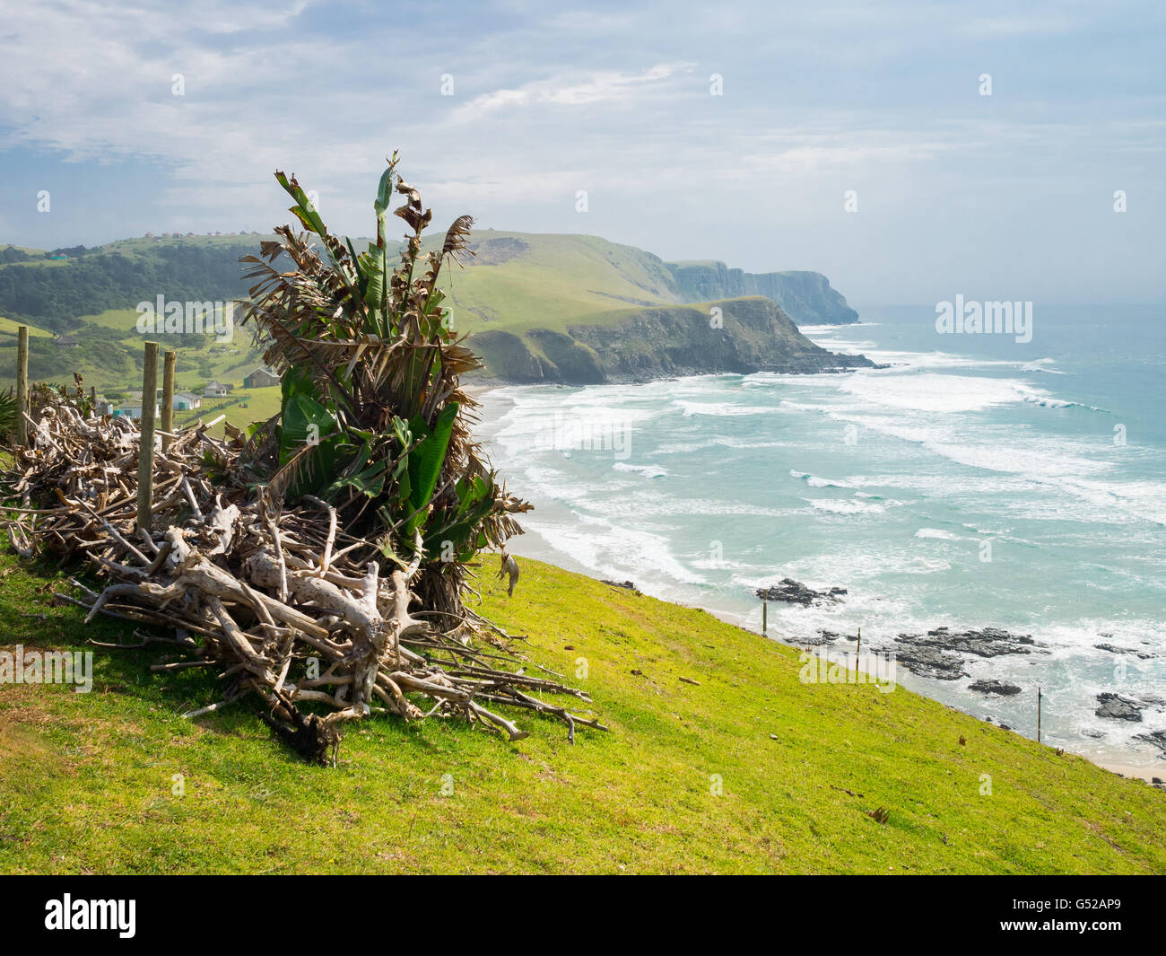 South Africa, Eastern Cape, Amatole, Wild Coast, Green mountain area ...