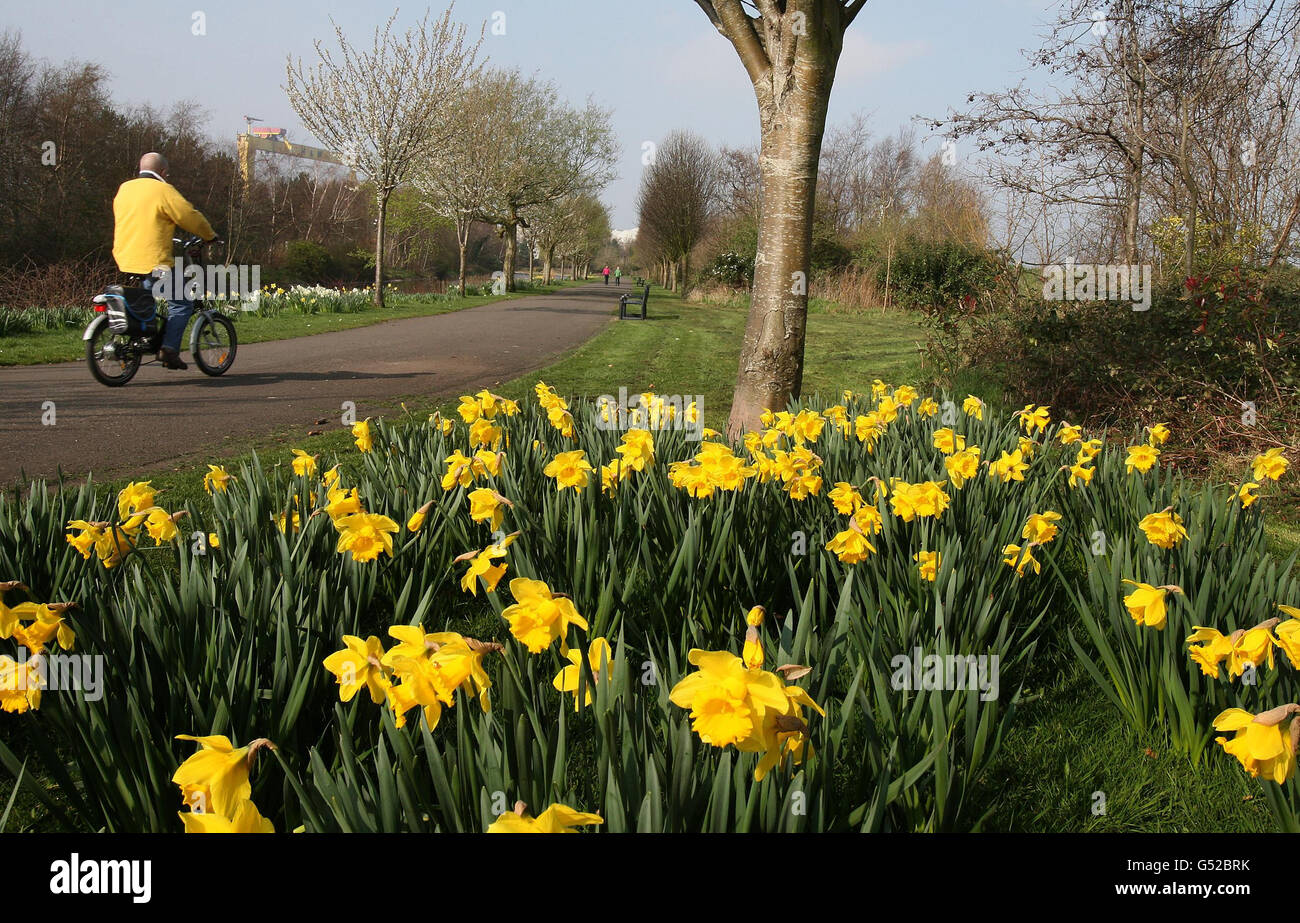 People enjoy the mild spring weather, in Belfast Victoria park, in the ...