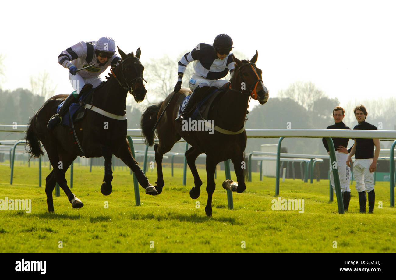 Racing from fontwell hi-res stock photography and images - Alamy