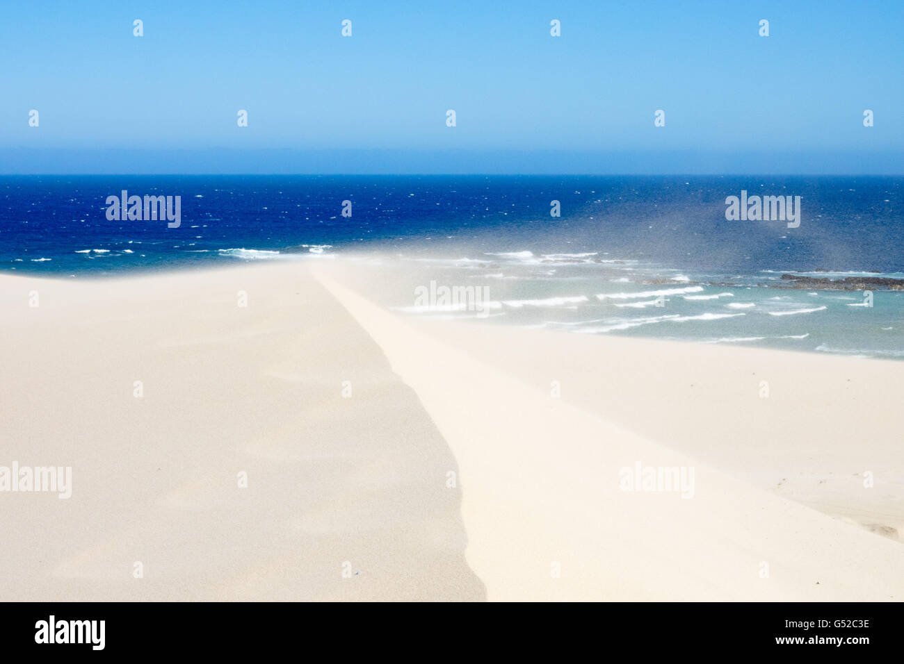 South Africa, Eastern Cape, Port Elizabeth, On a dune in the sandstorm ...