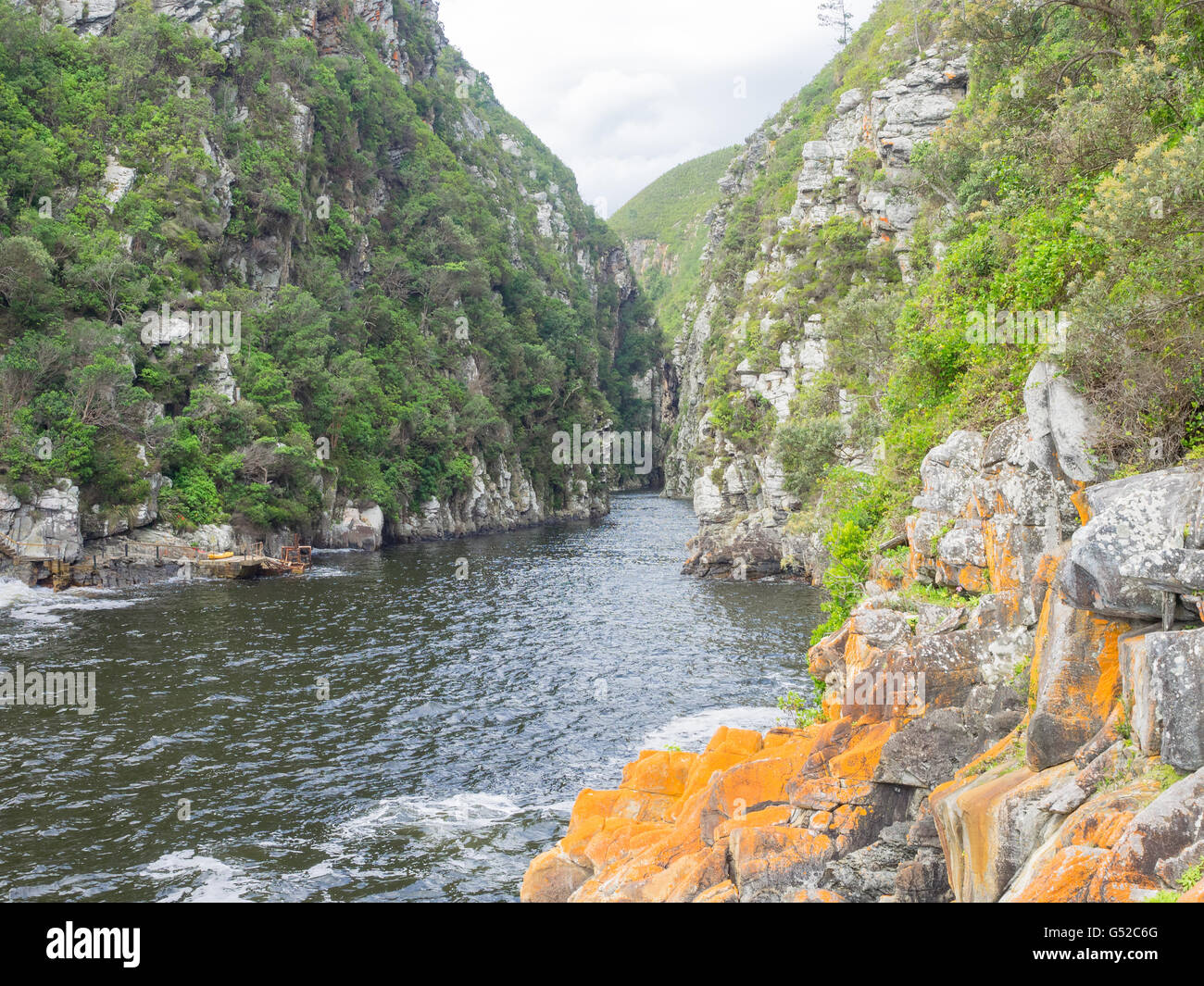 South Africa, Eastern Cape, Western District, Garden Route, Otter Trail ...