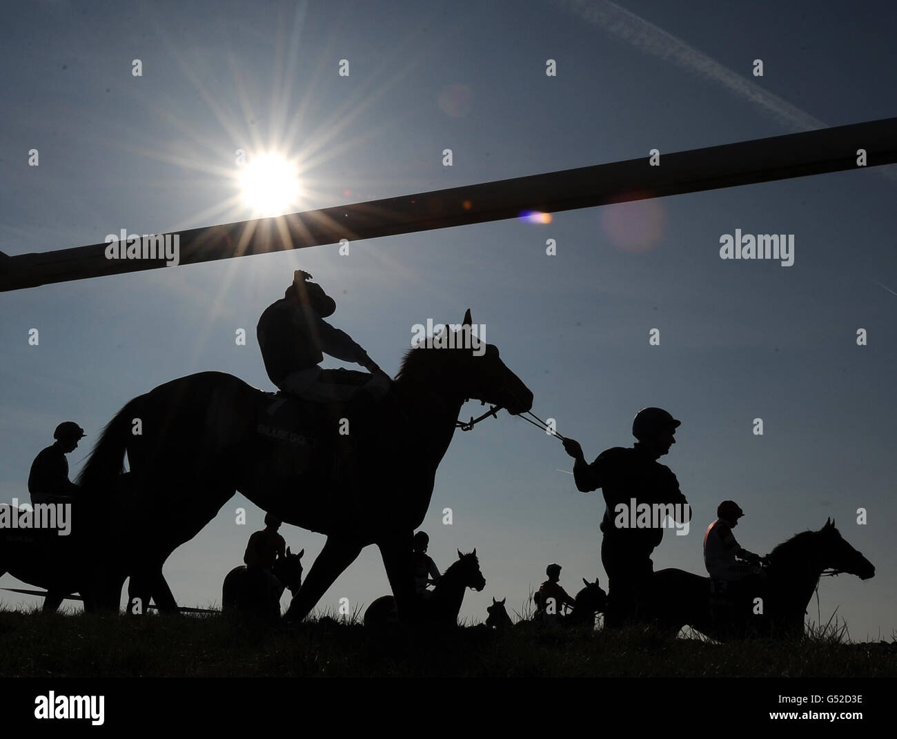 Horse Racing - Winter Derby Day - Lingfield Park. Horses are loaded in ...