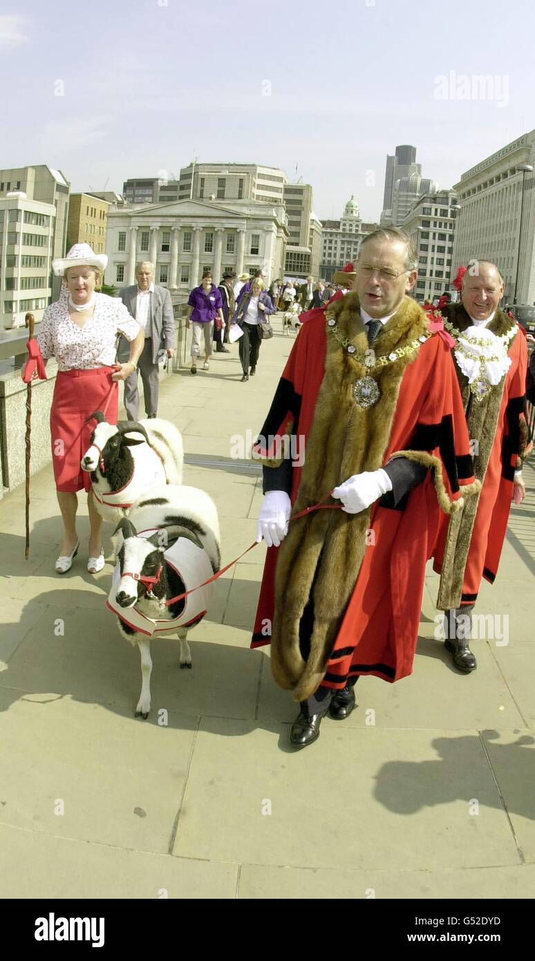 Mayoral chain hi-res stock photography and images - Alamy