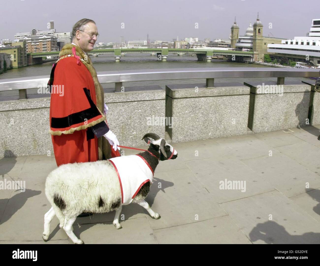 The Lord Mayor of London, Clive Martin OBE, herds sheep across London ...