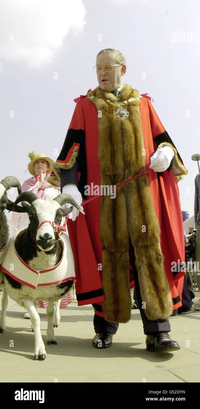 The Lord Mayor of London, Clive Martin OBE, herds sheep across London ...