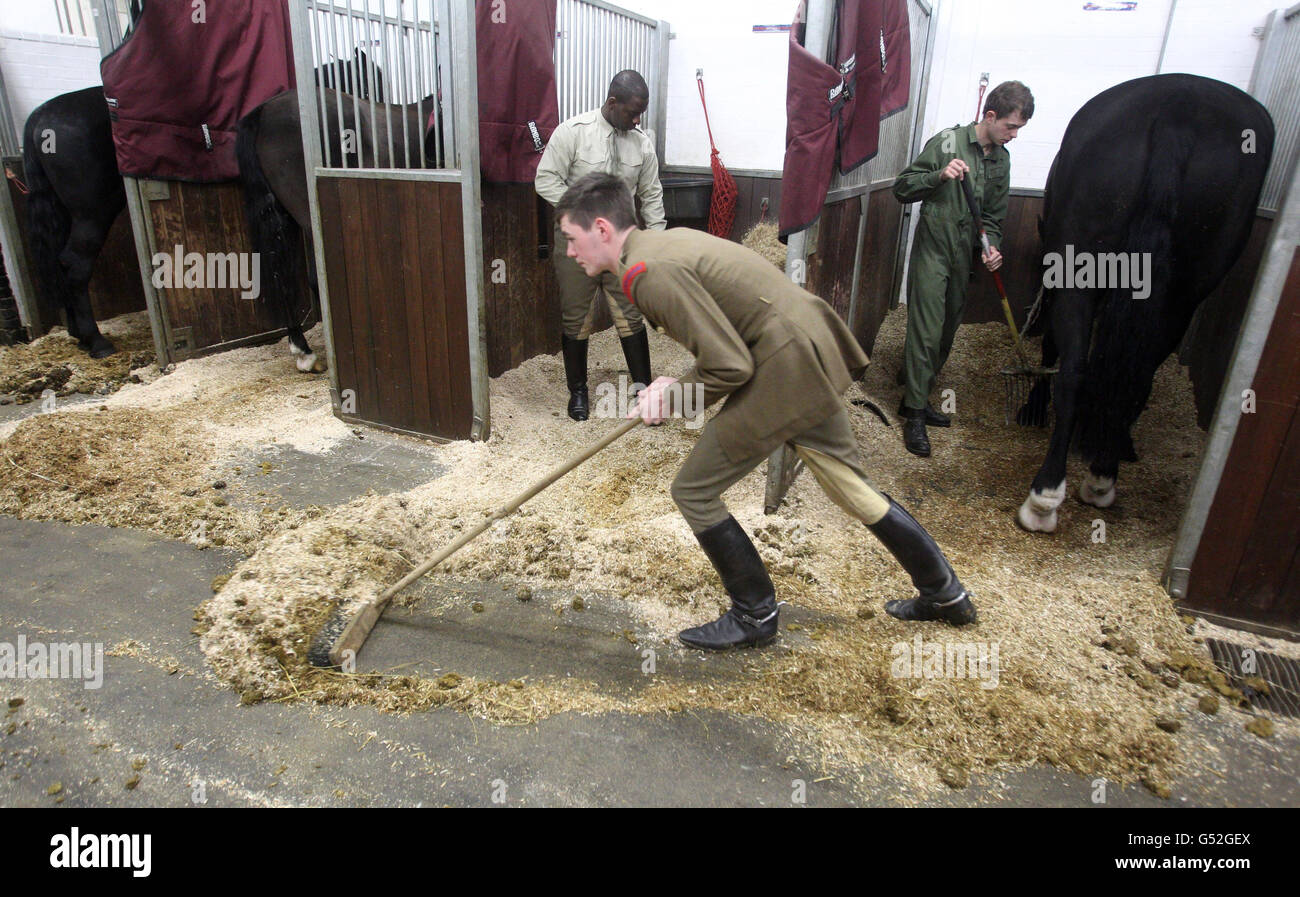 The stables are mucked out at Hyde Park Barracks in central London, as ...
