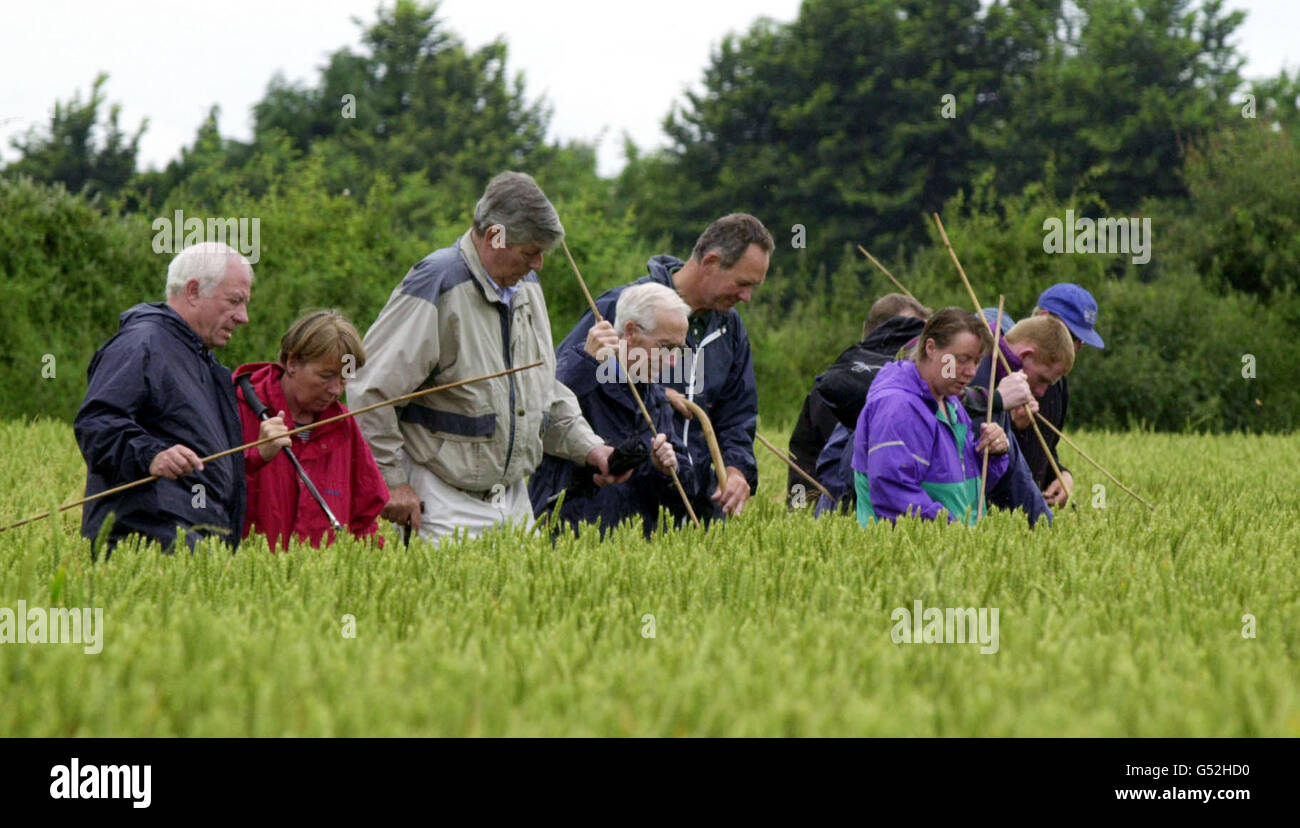 Searching sticks field newsdec00 hi-res stock photography and images ...