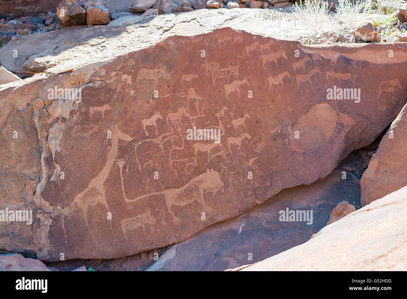 Namibia, Kunene, The rock pictures of Twyfelfontein, the lion Stock ...