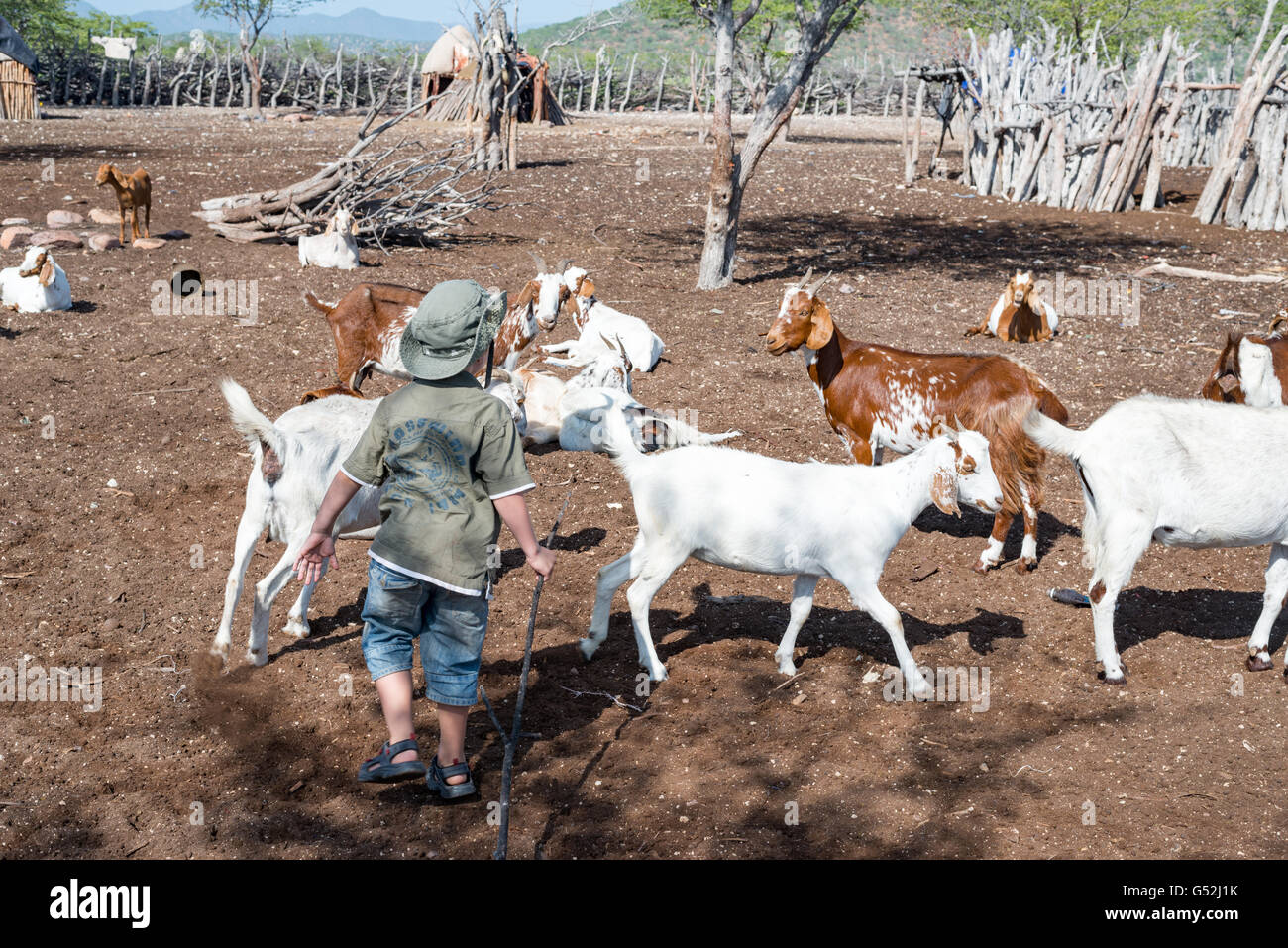 Himba Child With Goat High Resolution Stock Photography and Images - Alamy