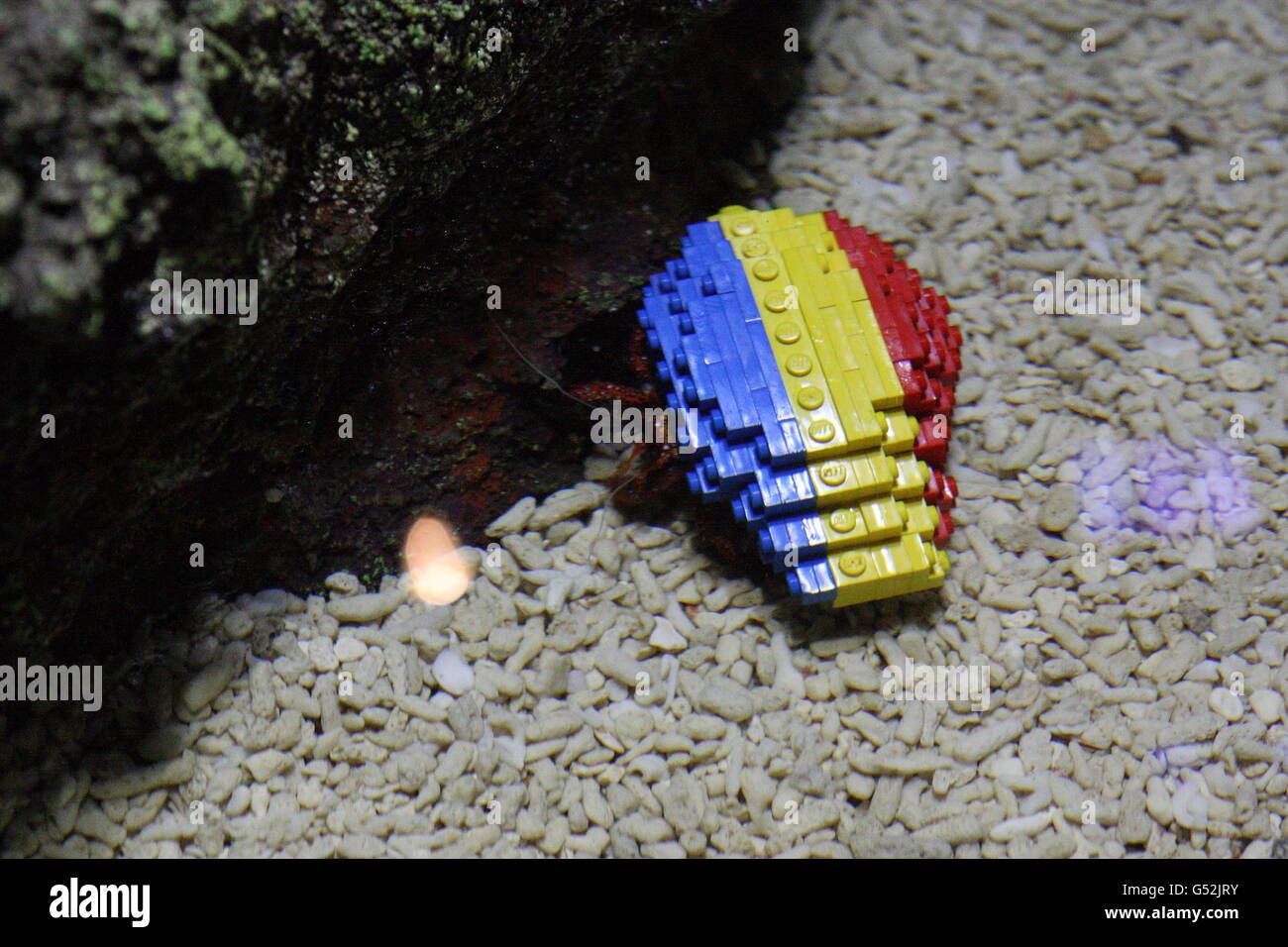 Shell made bricks hi-res stock photography and images - Alamy