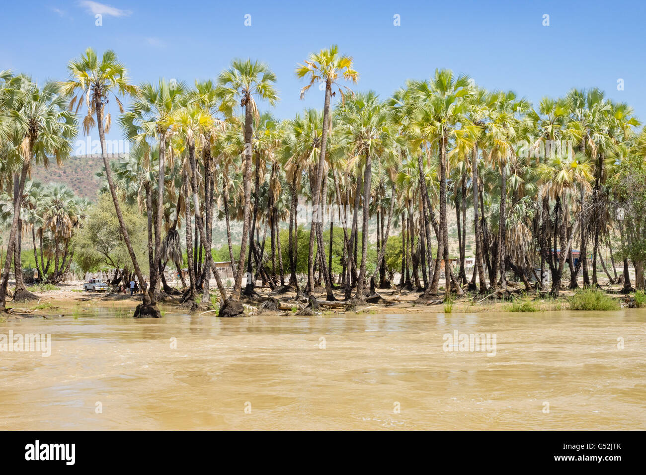 Namibia, Kunene, Kaokoland, palm island at sunshine, Epupafalls of the ...