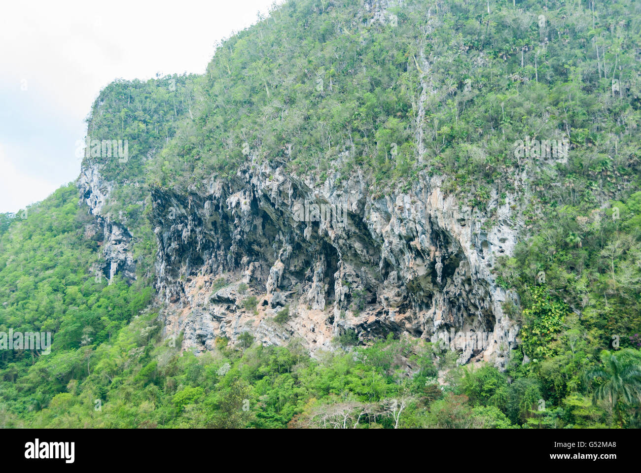Cimarrones cuba hi-res stock photography and images - Alamy