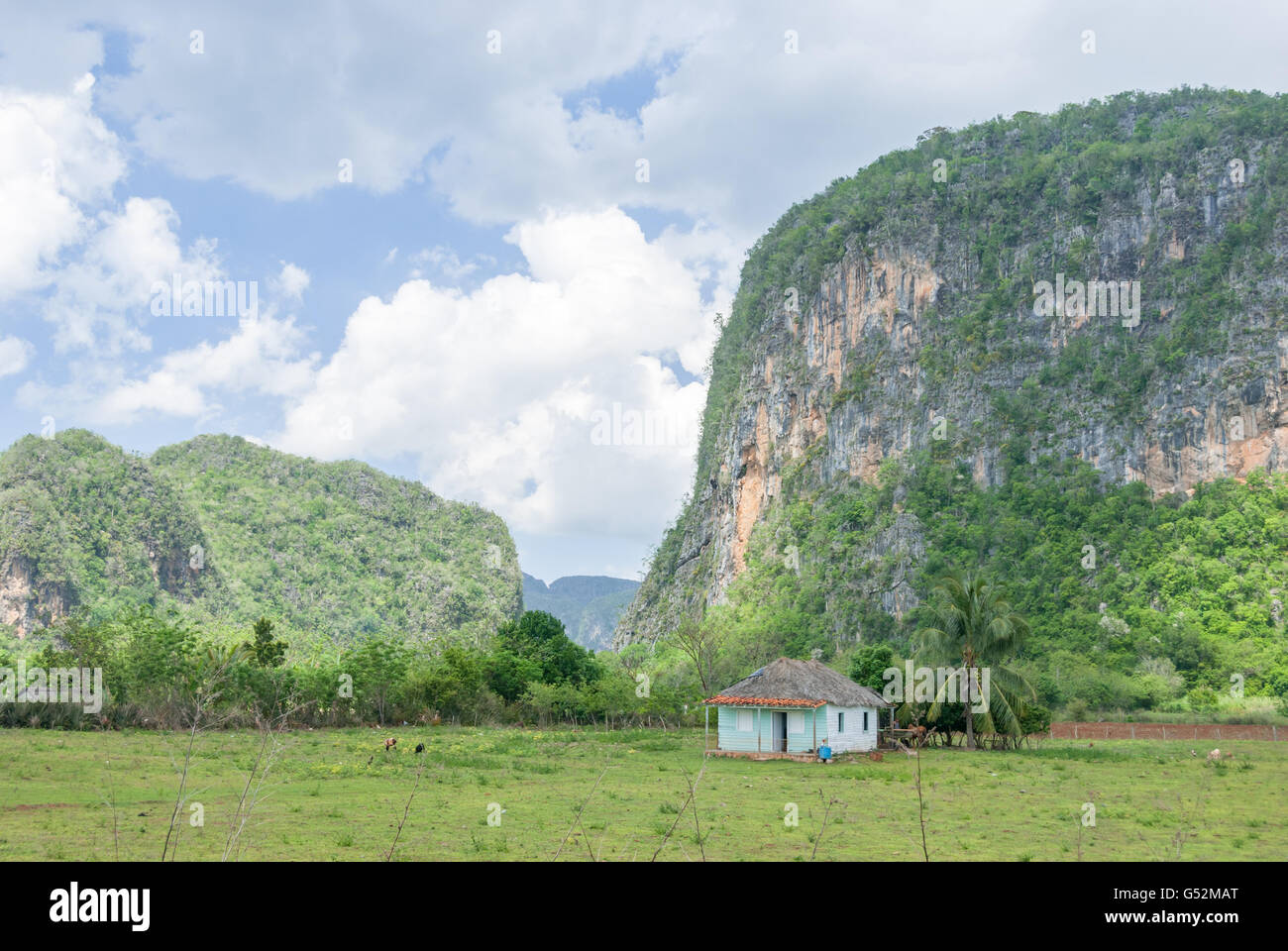 Cimarrones cuba hi-res stock photography and images - Alamy