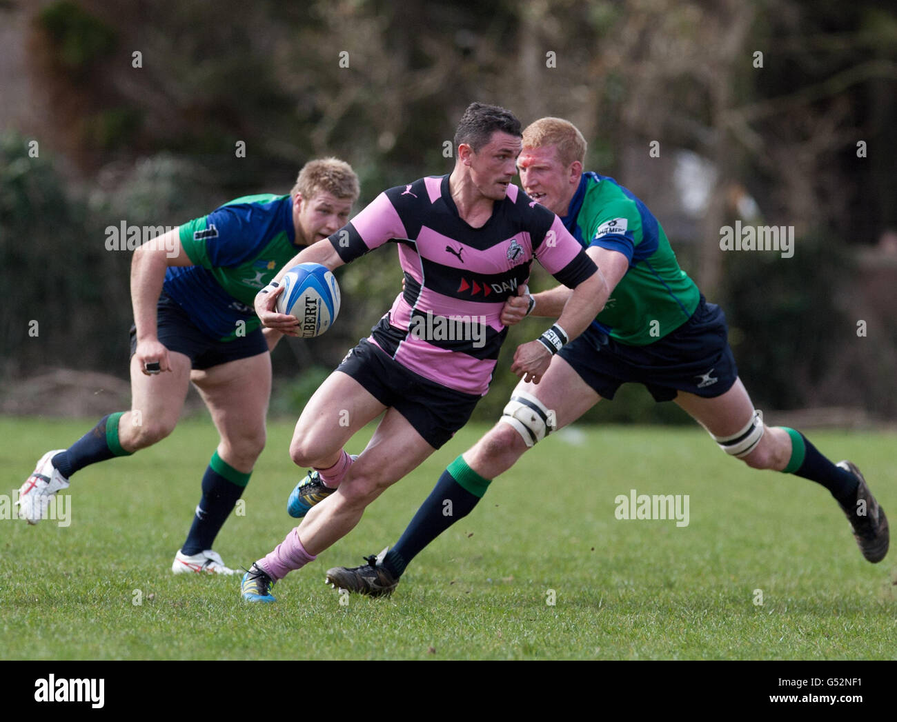 Boroughmuirs hi-res stock photography and images - Alamy