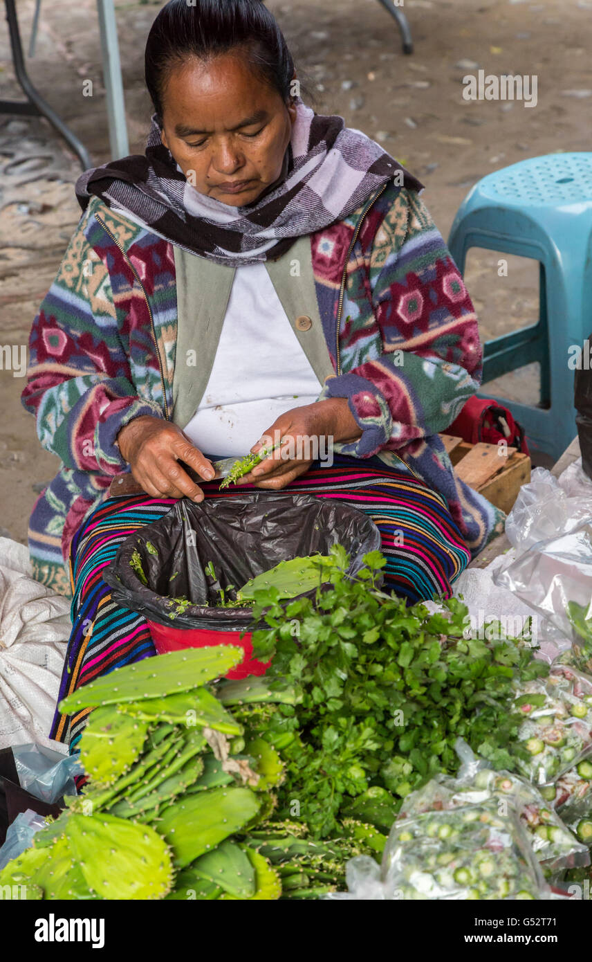 Fruit de cactus hi-res stock photography and images - Alamy