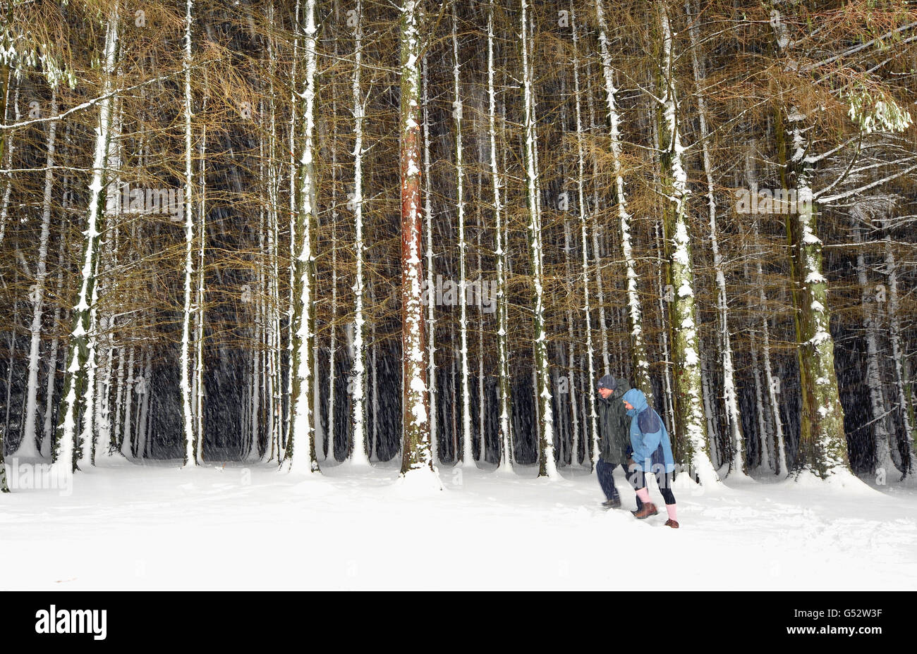 A couple in the snow in the brecon beacons hi-res stock photography and ...