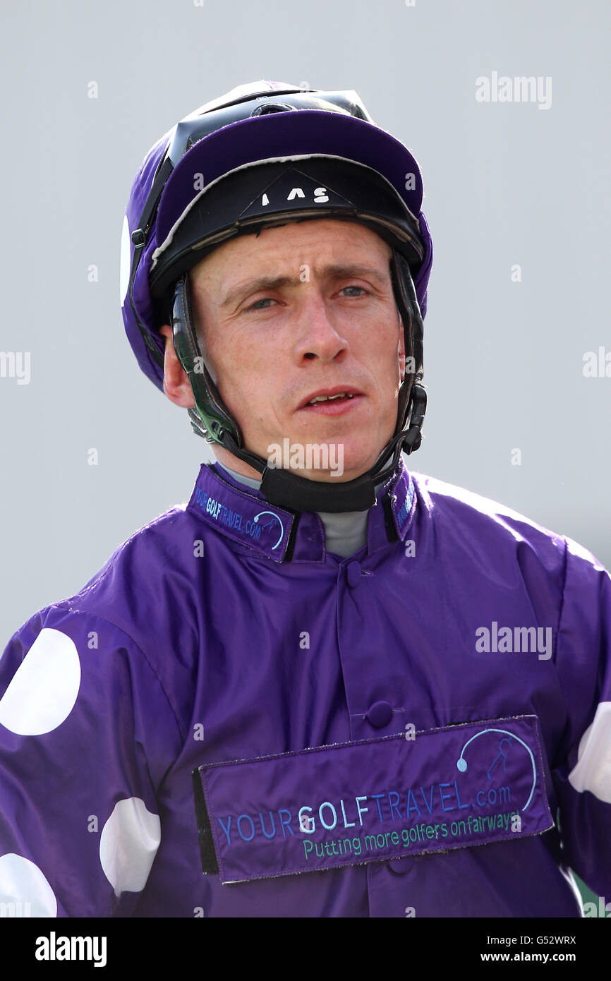 Shane kelly jockey hi-res stock photography and images - Alamy
