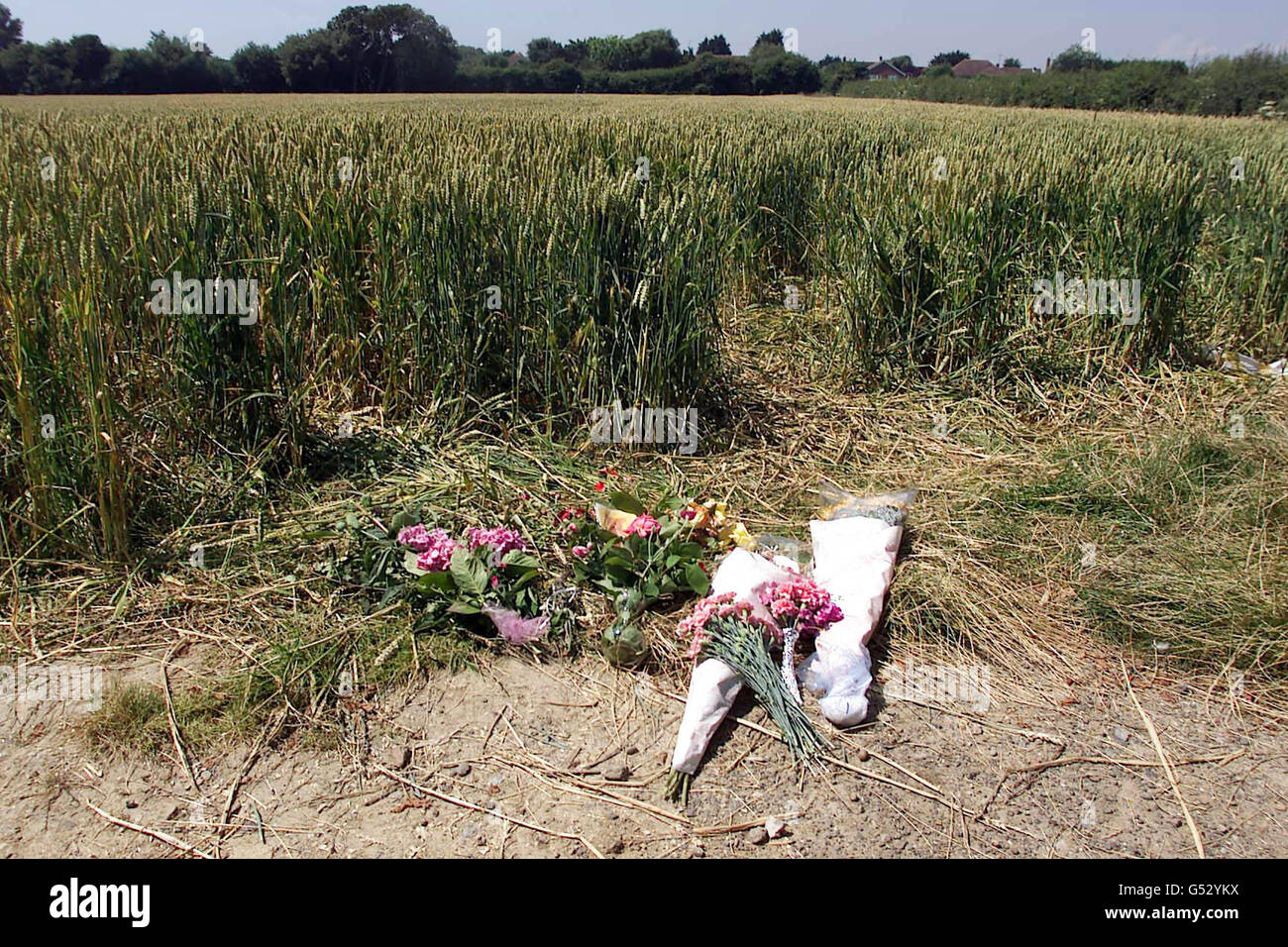 Sarah Payne Found Flowers Stock Photo - Alamy