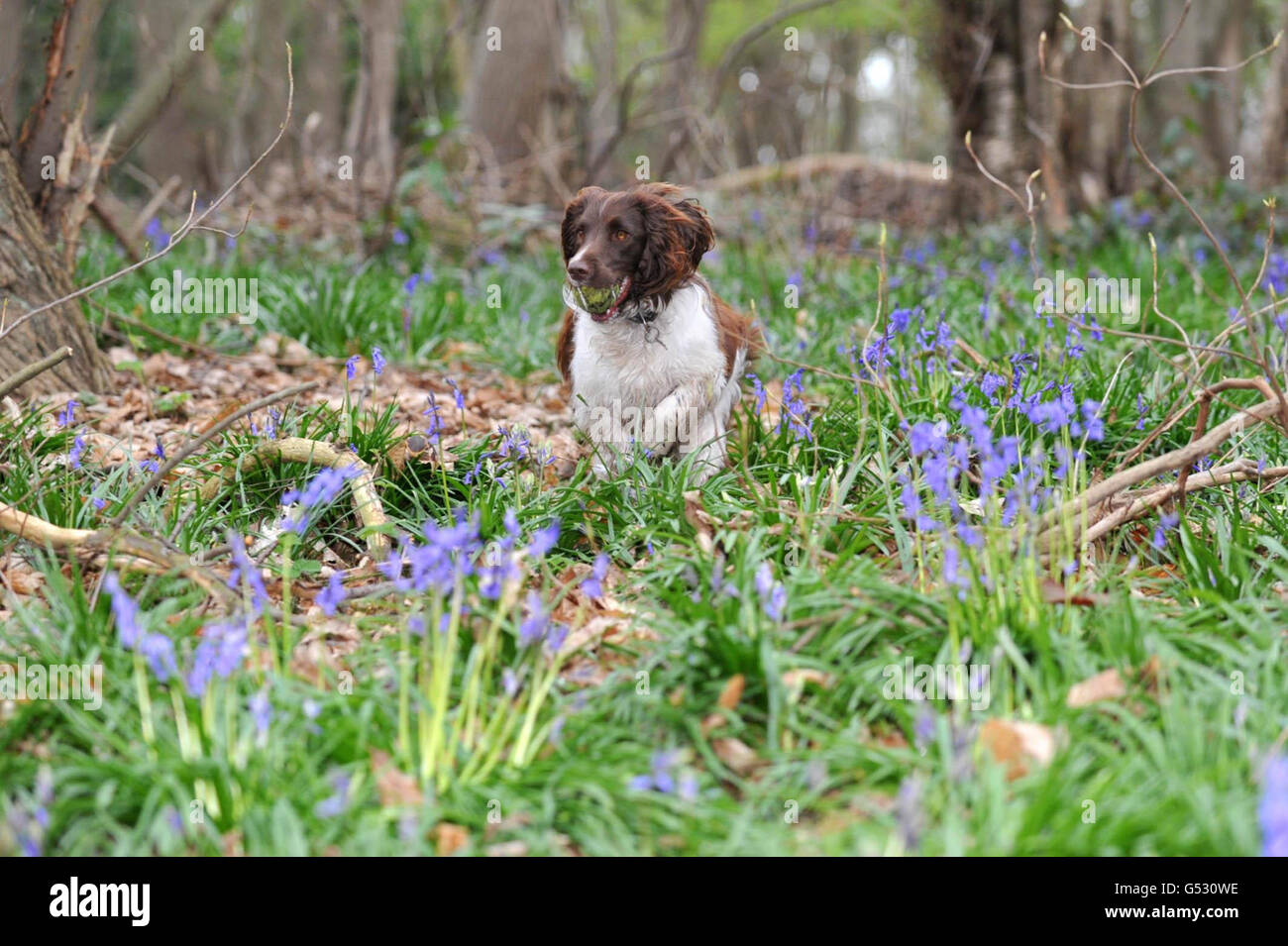 Spring weather April 8th Stock Photo - Alamy