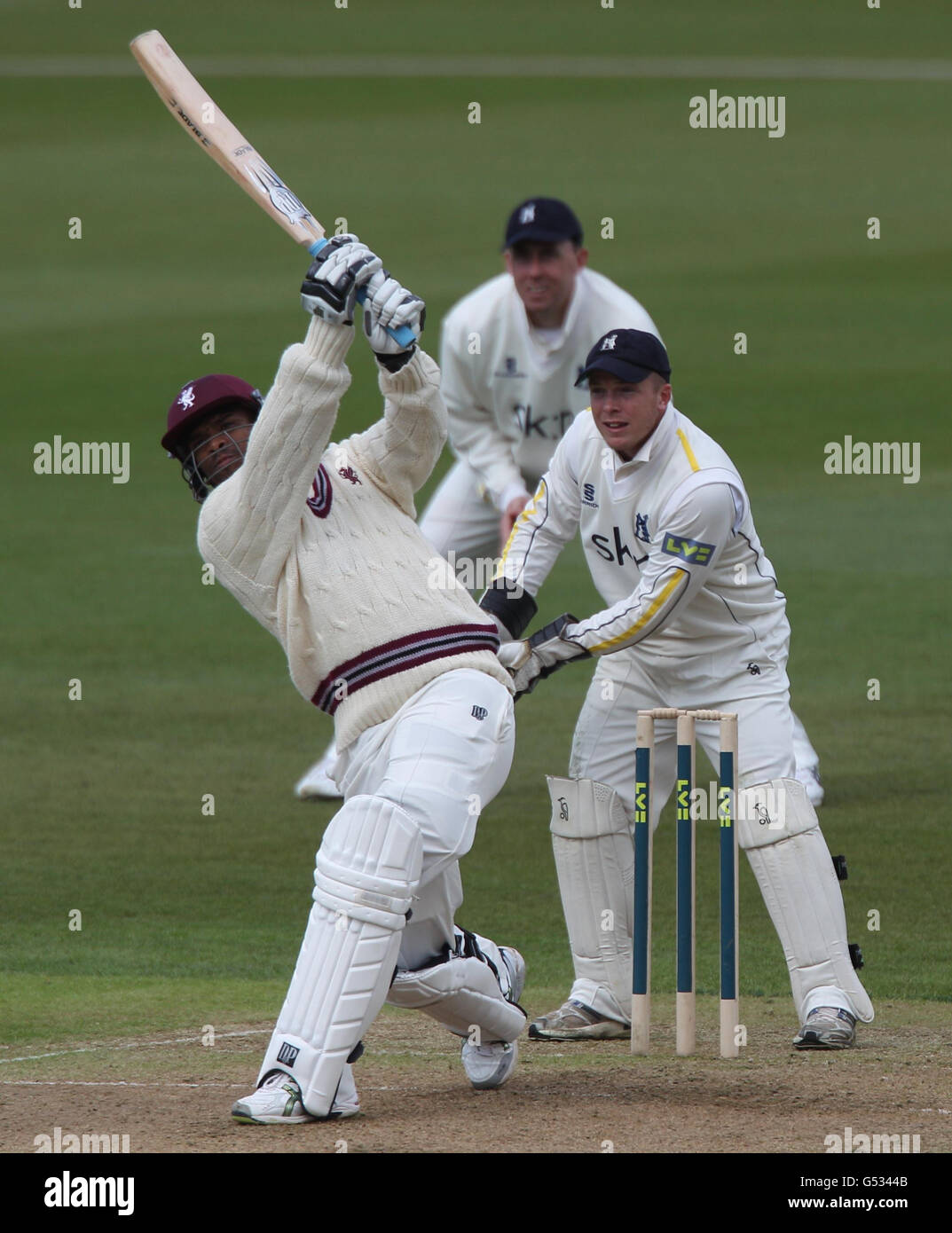 Philander hi-res stock photography and images - Alamy