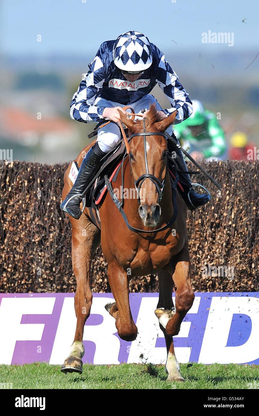 Horse Racing - The 2012 John Smith's Grand National - Day One - Aintree ...