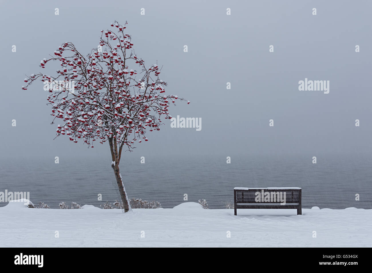 A snowy scene of a park bench by Okanagan Lake near Kelowna British ...