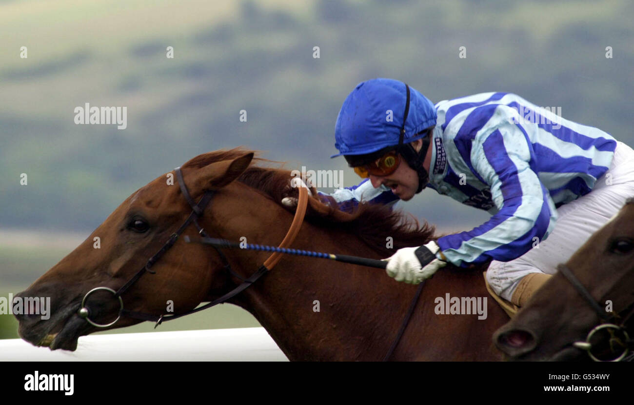 Persiano with jockey David Harrison goes on to win the William Hill ...
