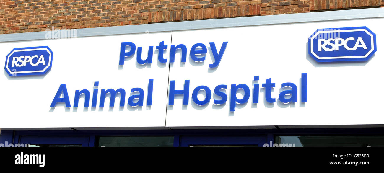 Putney hospital hi-res stock photography and images - Alamy