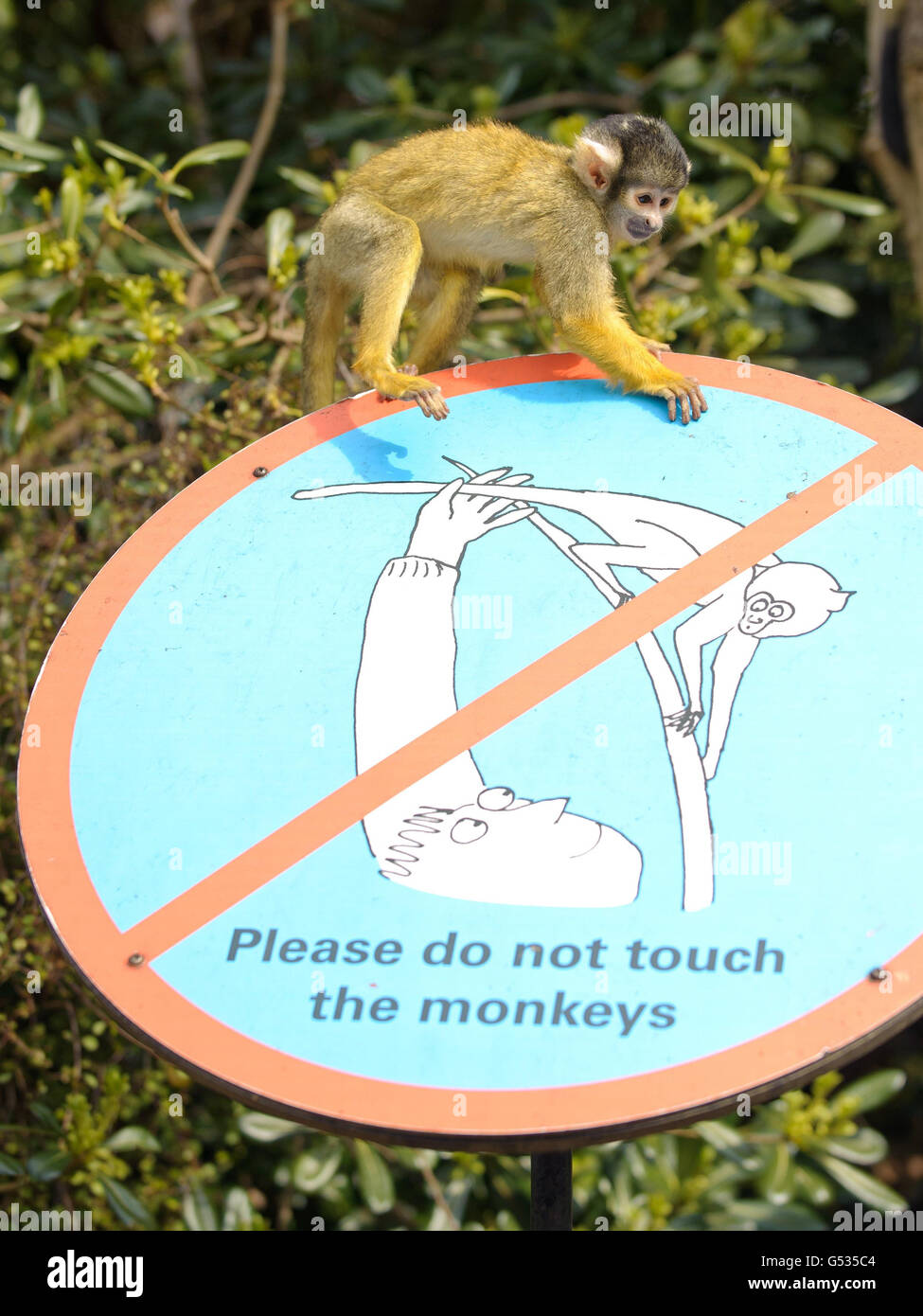 London Zoo Sign Stock Photos & London Zoo Sign Stock Images - Alamy