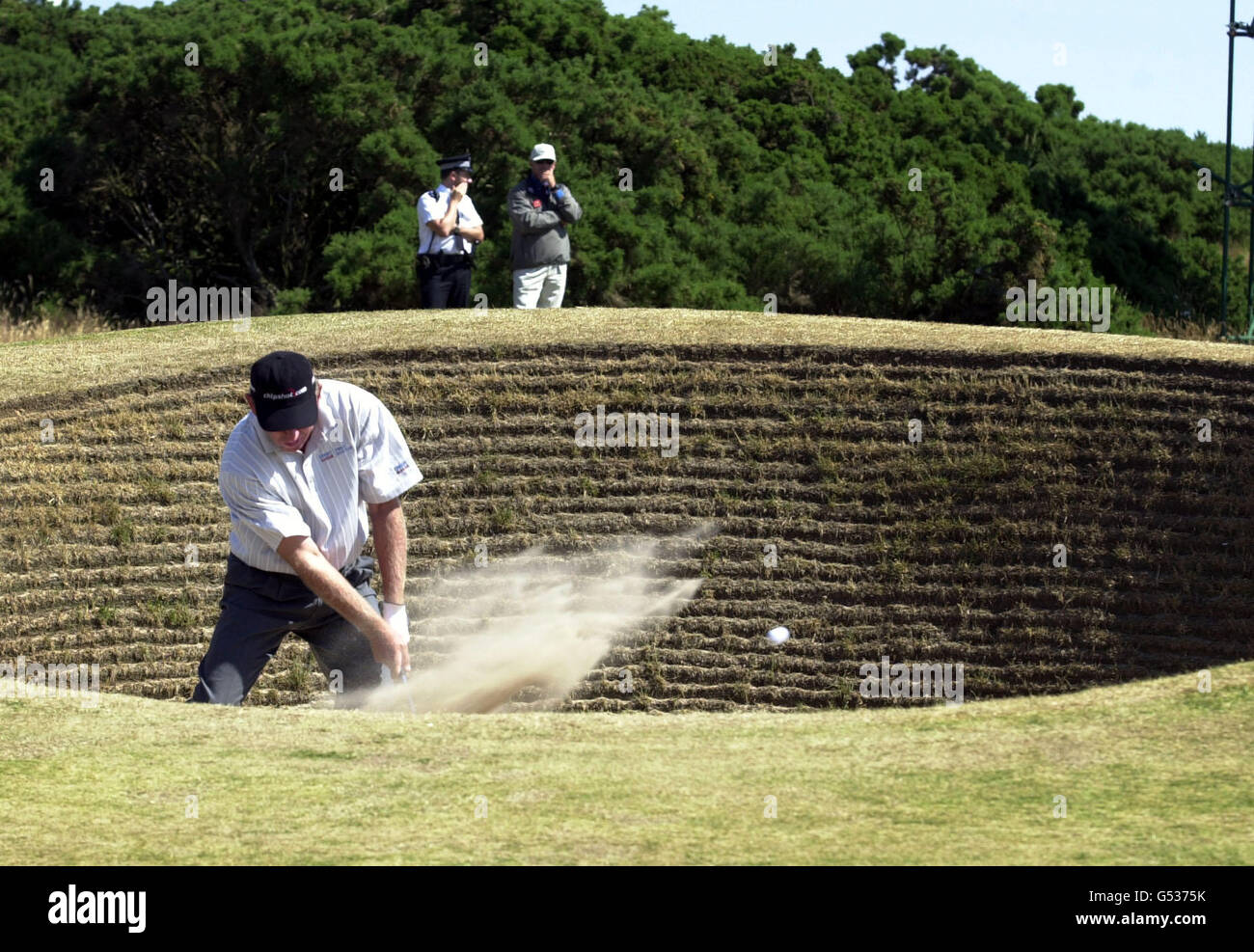 Open golf Nick Price bunker. Golfer Nick Price plays out of a bunker ...