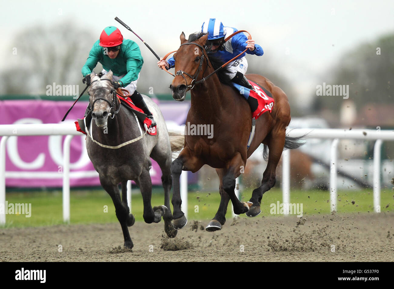 Naples racecourse hi-res stock photography and images - Alamy