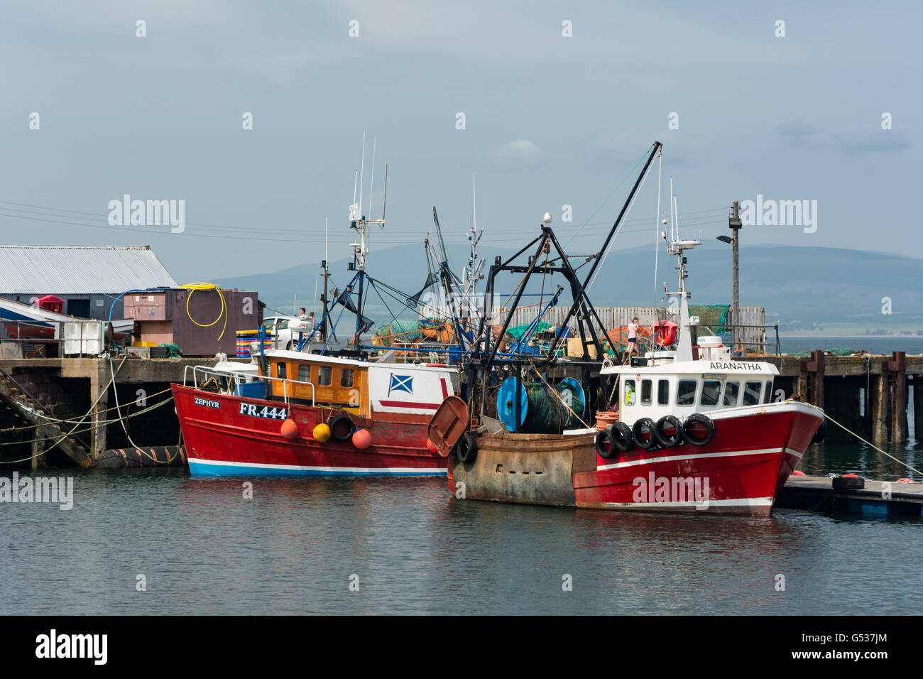 United Kingdom, Scotland, Highland, Cromarty, Port of Cromarty, Black ...