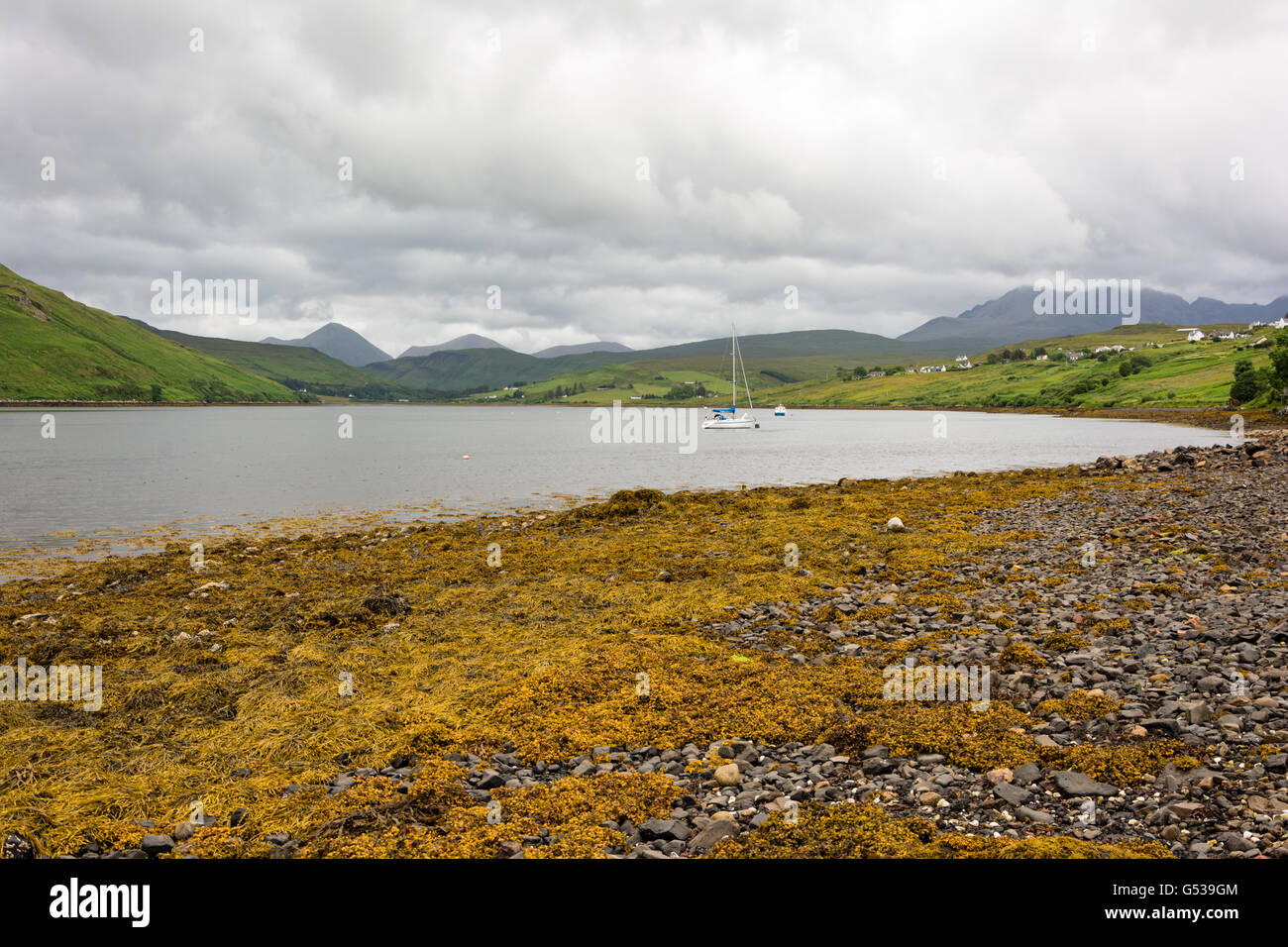 United Kingdom, Scotland, Highland, Isle of Skye, Carbost, On the Move ...