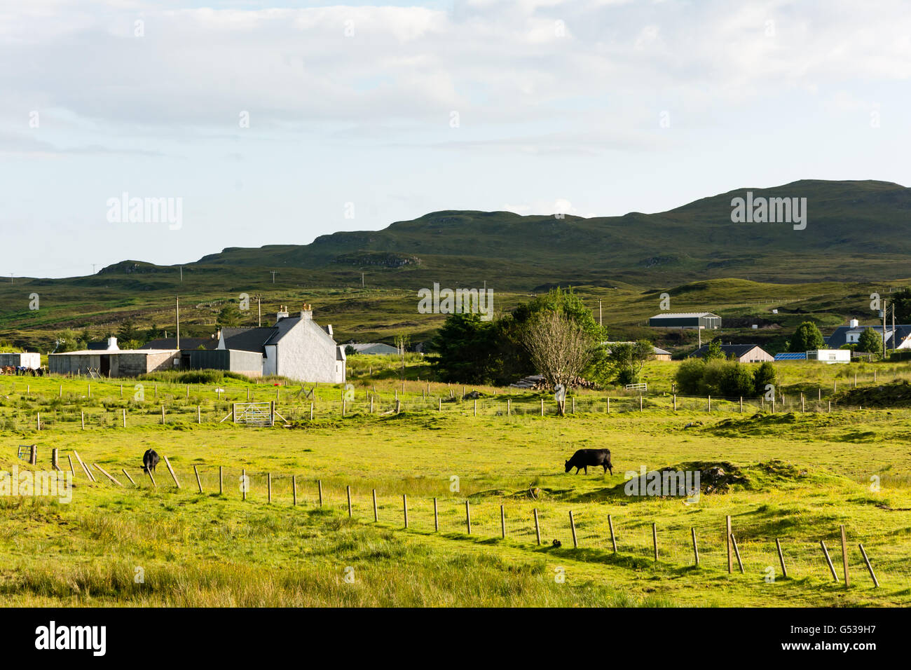 United Kingdom, Scotland, Highlands, Isle of Skye, Portree, Green ...