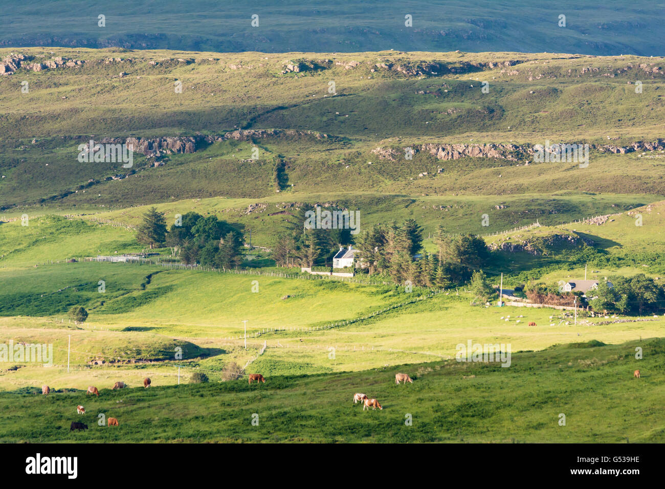 United Kingdom, Scotland, Highlands, Isle of Skye, Portree, Green ...