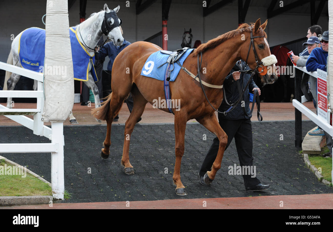 Horses enter the parade ring at pontefract racecourse hi-res stock ...