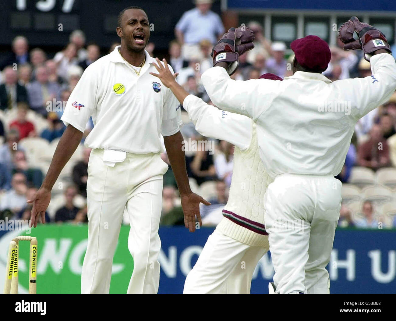 Courtney Walsh High Resolution Stock Photography and Images - Alamy