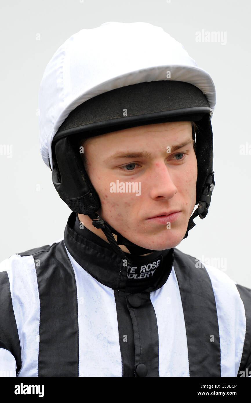 James reveley horse hi-res stock photography and images - Alamy