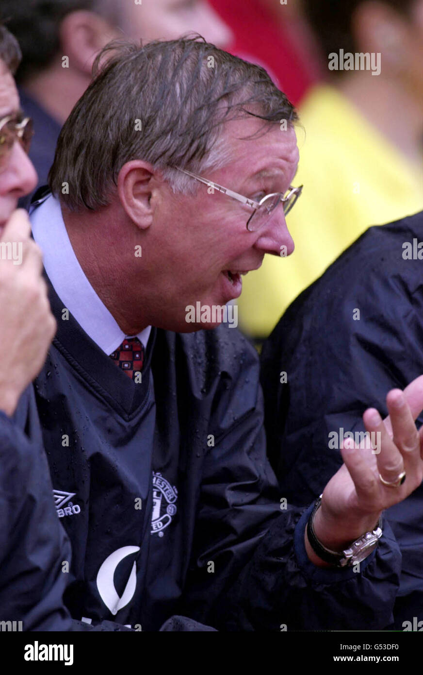 Sport football action smiling gesturing alex ferguson hi-res stock ...
