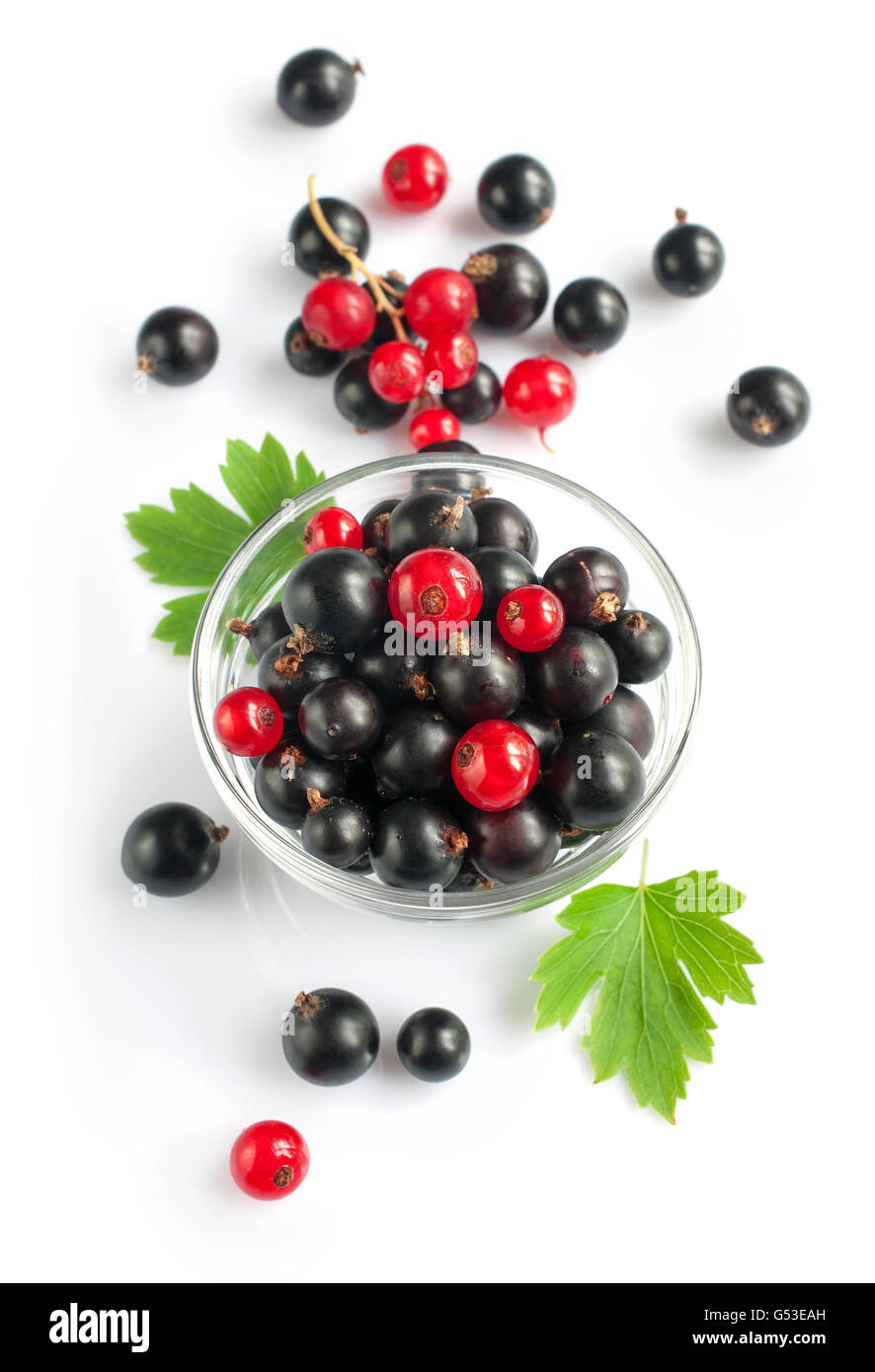 Ripe fresh black and red currants isolated on white background Stock ...