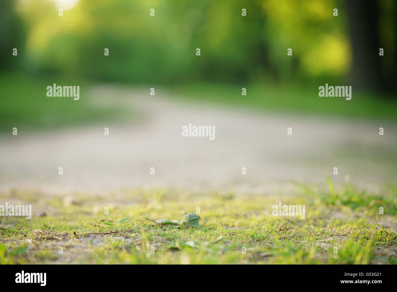 Field path at sunset in summer hi-res stock photography and images - Alamy