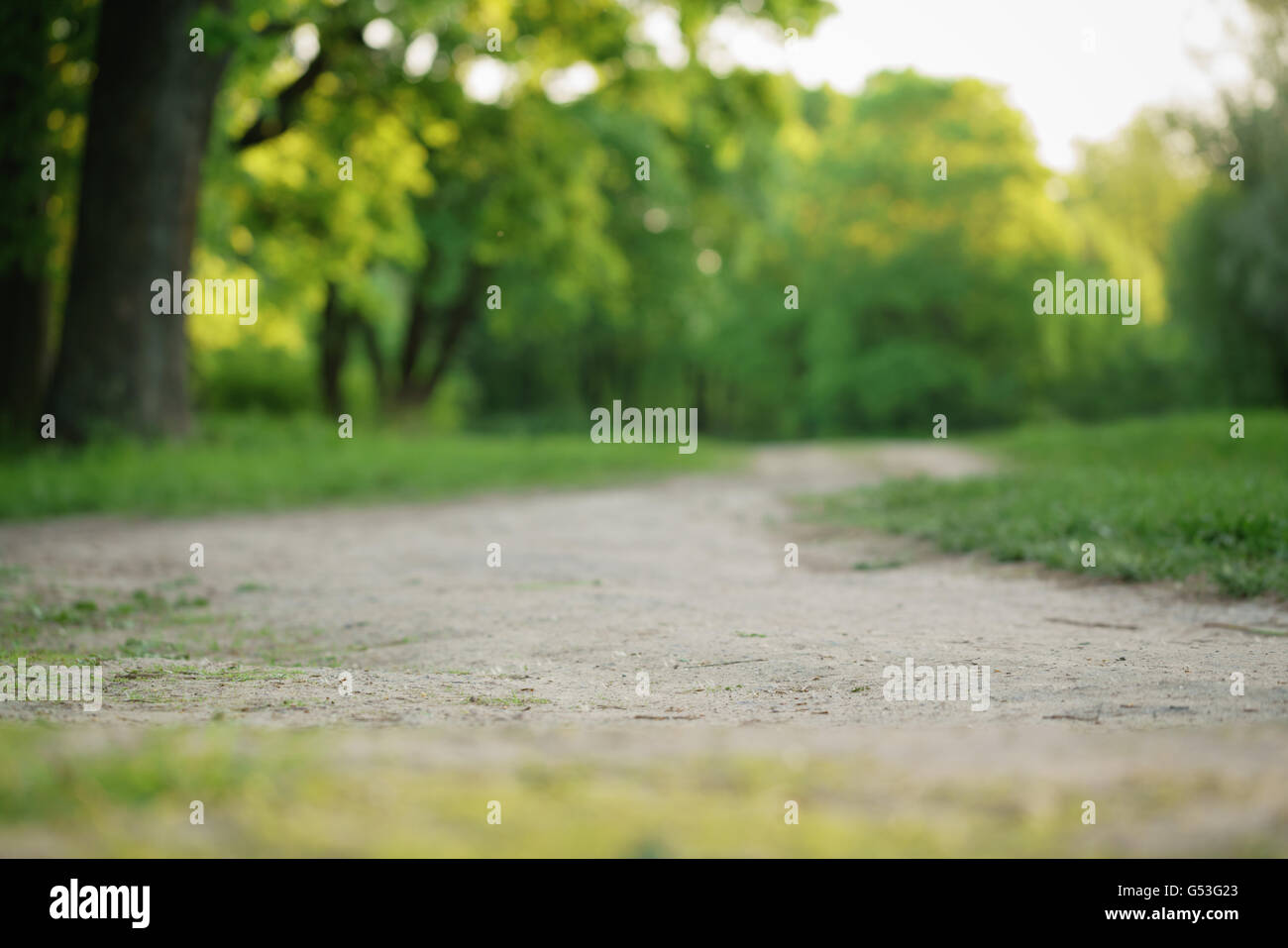 Field path at sunset in summer hi-res stock photography and images - Alamy
