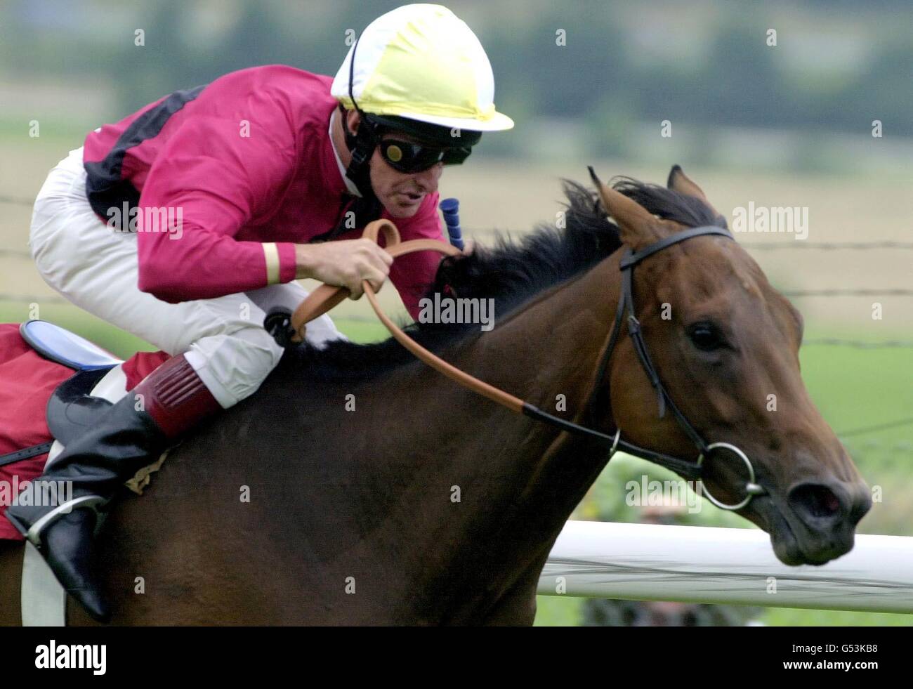 Seeking Success and jockey Pat Eddery win the Matty Brown Memorial ...