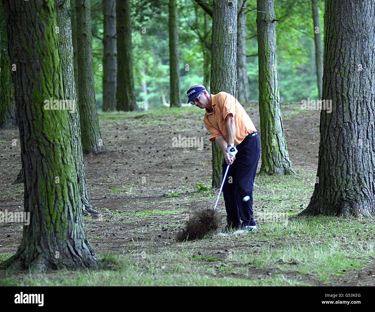 Chandler Golf Sandy Lyle woods Stock Photo - Alamy