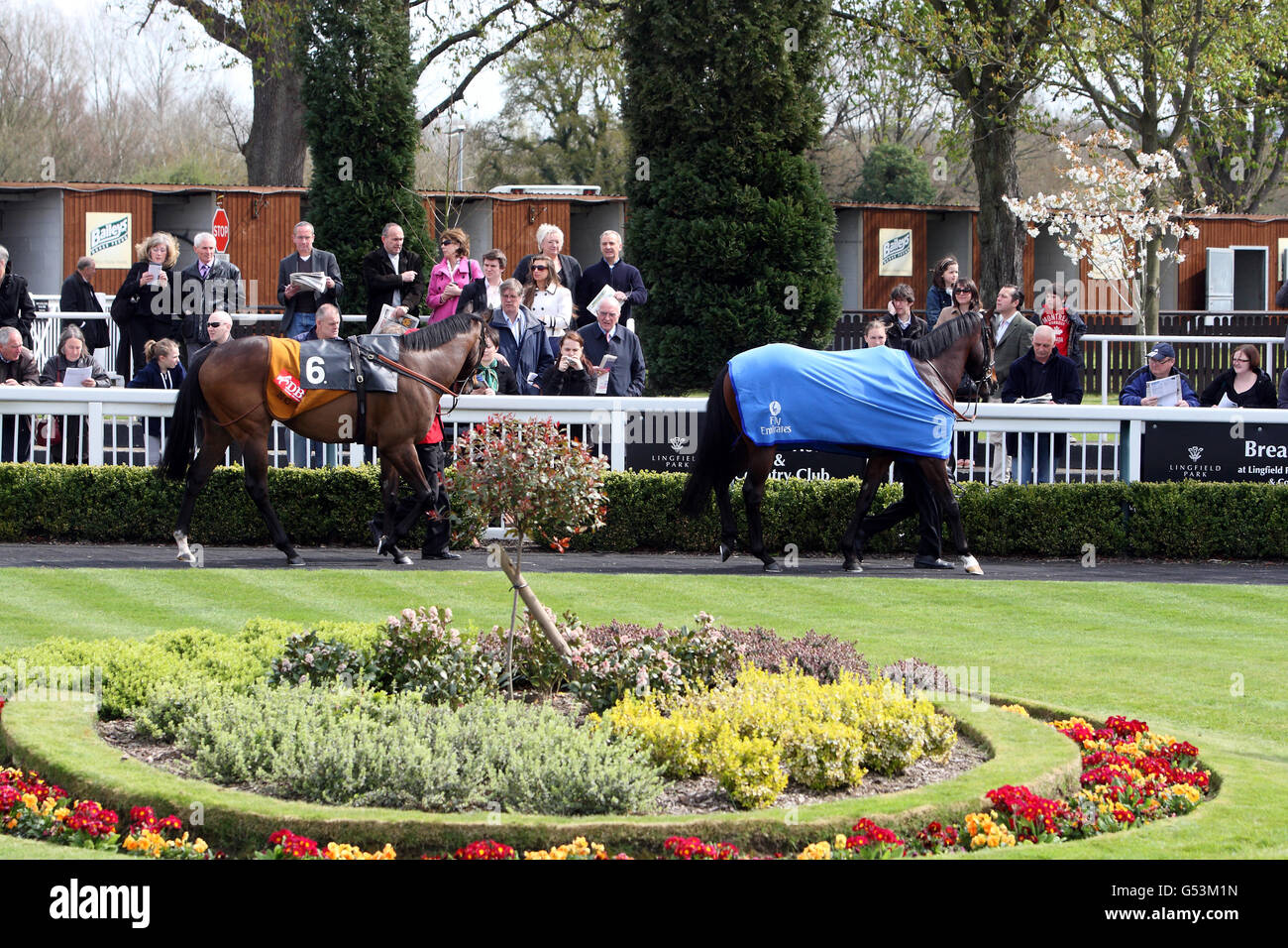 Horse Racing - Lingfield Racecourse Stock Photo - Alamy
