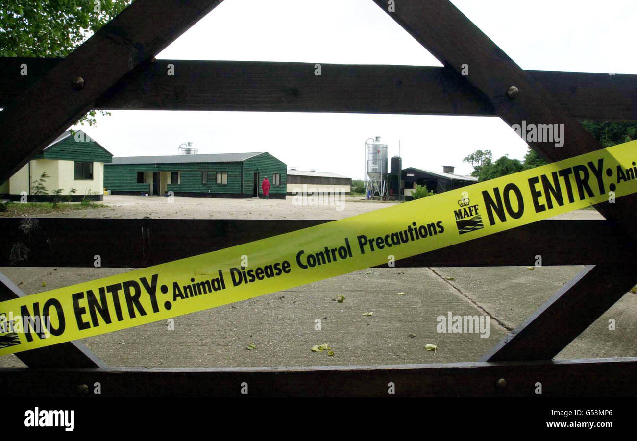 EU Pigs sign Stock Photo - Alamy