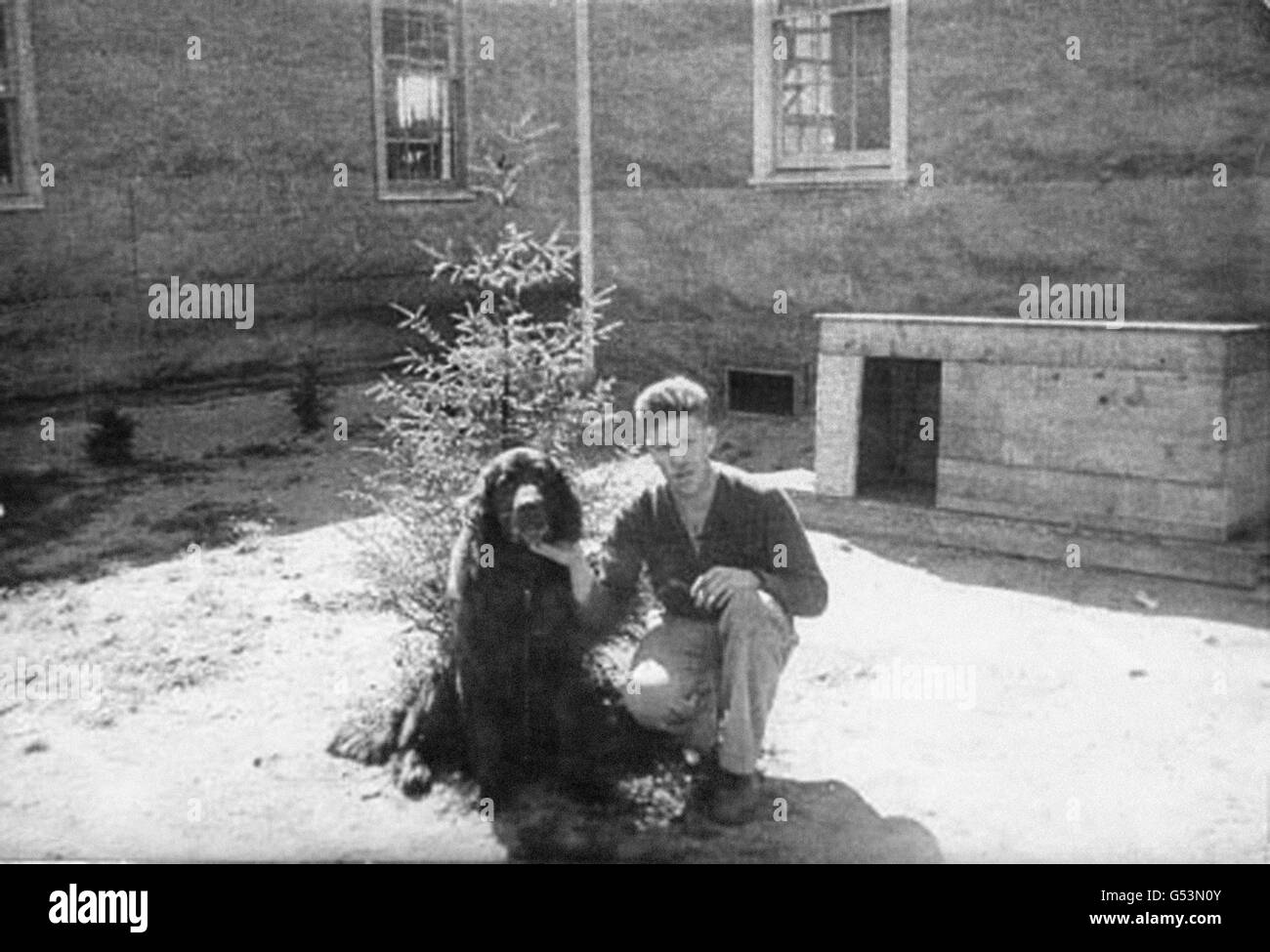 Social animals Black and White Stock Photos & Images - Alamy