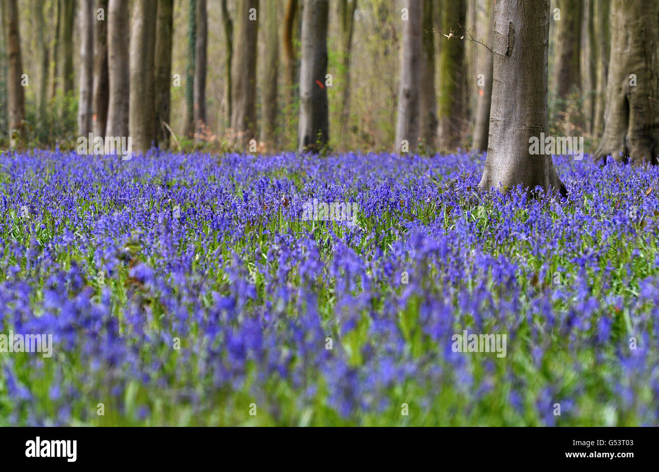 Spring weather - April 20th Stock Photo - Alamy