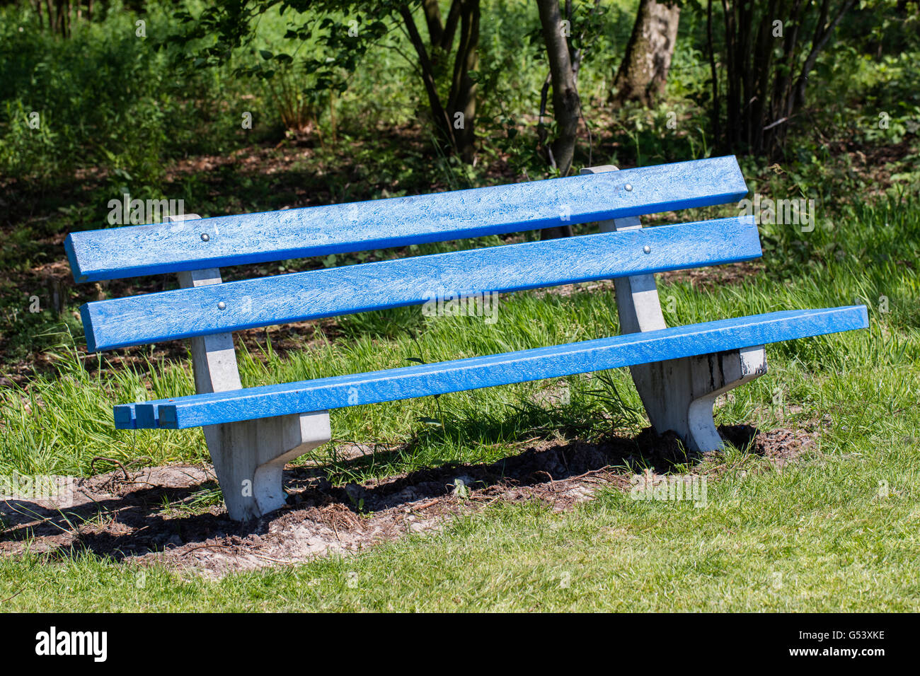 Blue bench in a public park, the Netherlands Stock Photo - Alamy